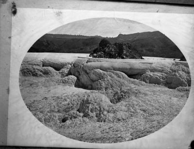 Te Tarata, White Terrace Lion Rock - Rotorua Museum